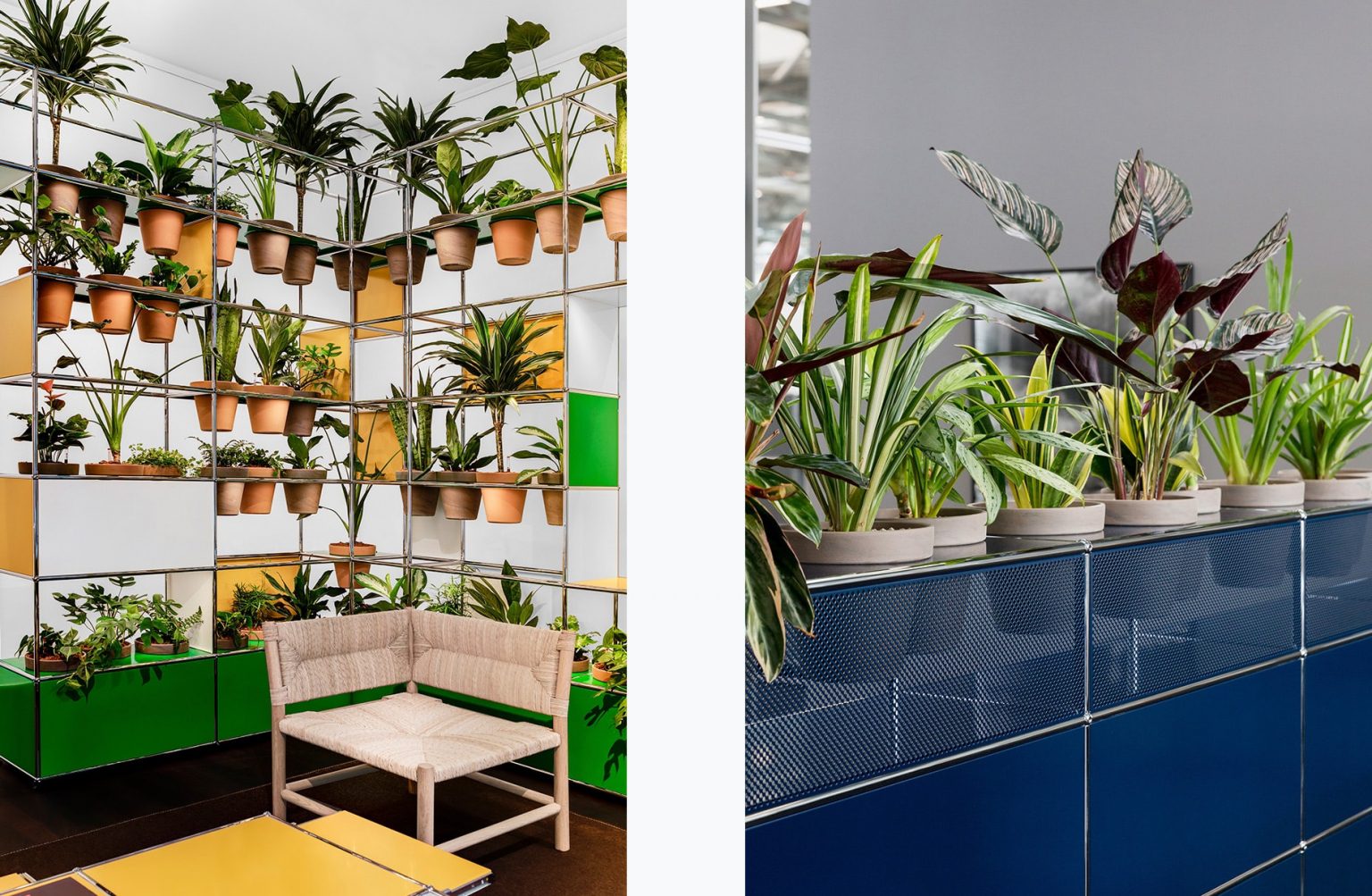 A World of Plants USM Haller – Arkitektura Assembly